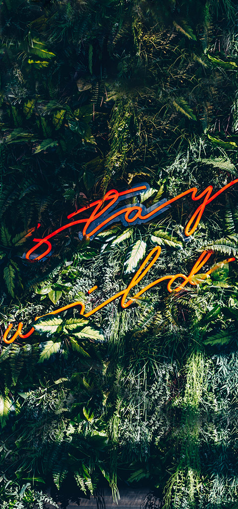 Canberra Nightlife and Events | The Howling Moon